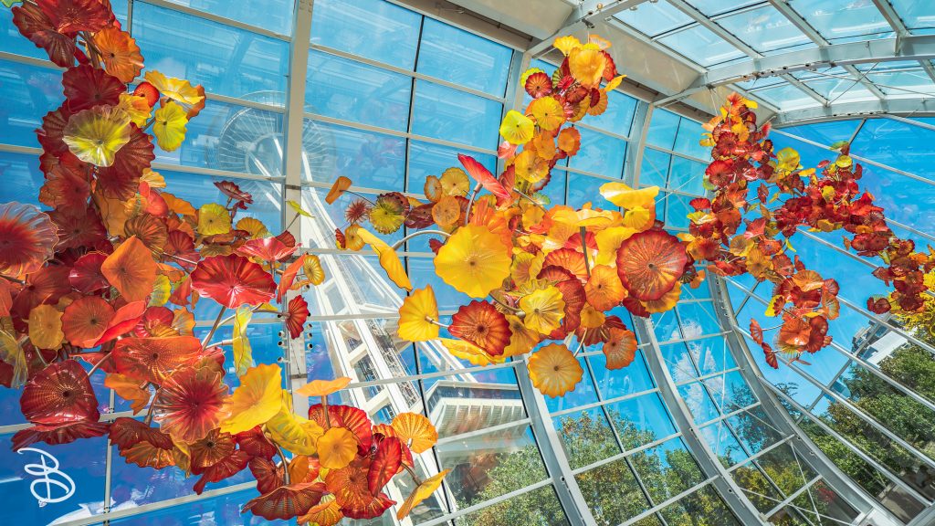 The captivating and beautiful exhibits of MoPOP and Chihuly ...